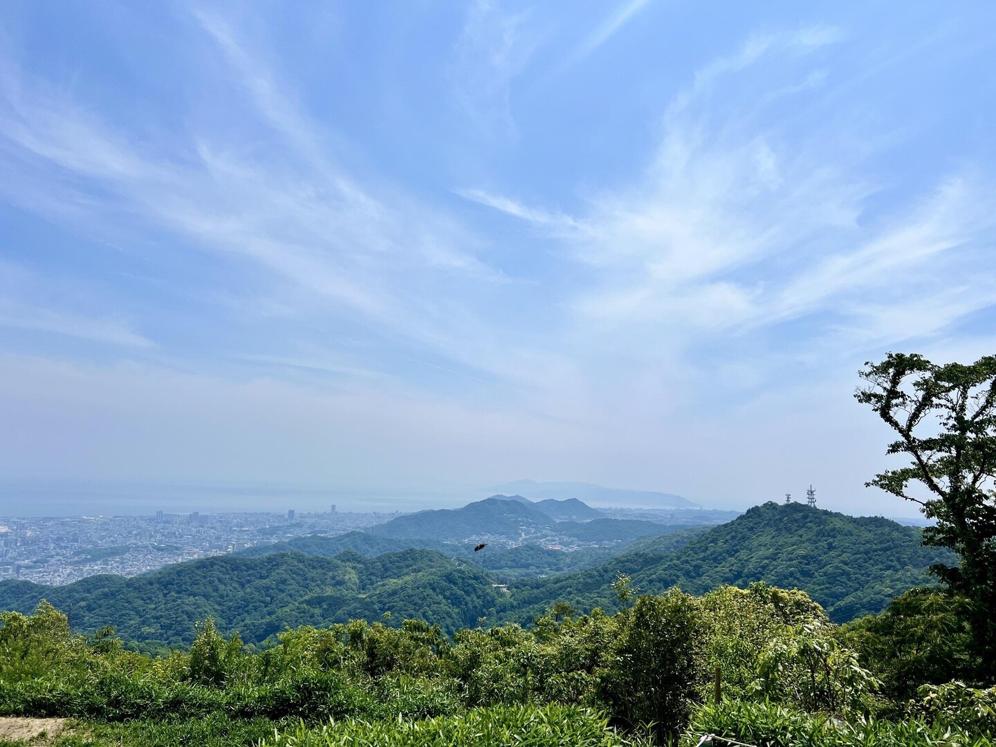 六甲山（摩耶→菊水山） / yuzuさんの六甲山・長峰山・摩耶山の活動データ | YAMAP / ヤマップ