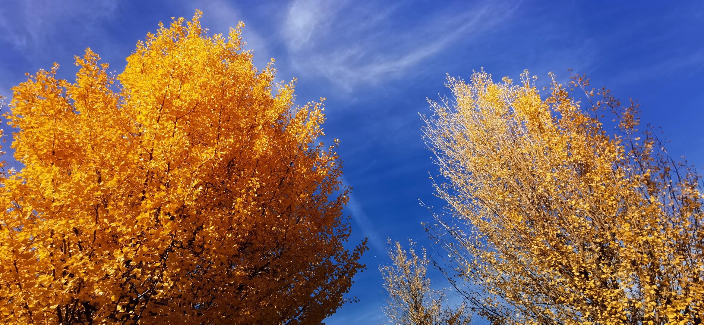 こんないい天気の日はお出かけしないと勿体... / yama-yuさんのモーメント | YAMAP / ヤマップ