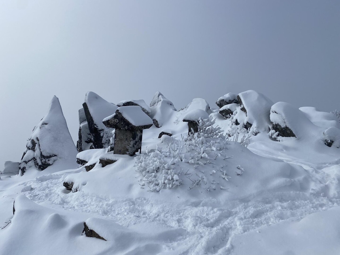 姫神山(R5,15回) / TMZさんの姫神山の活動データ | YAMAP / ヤマップ