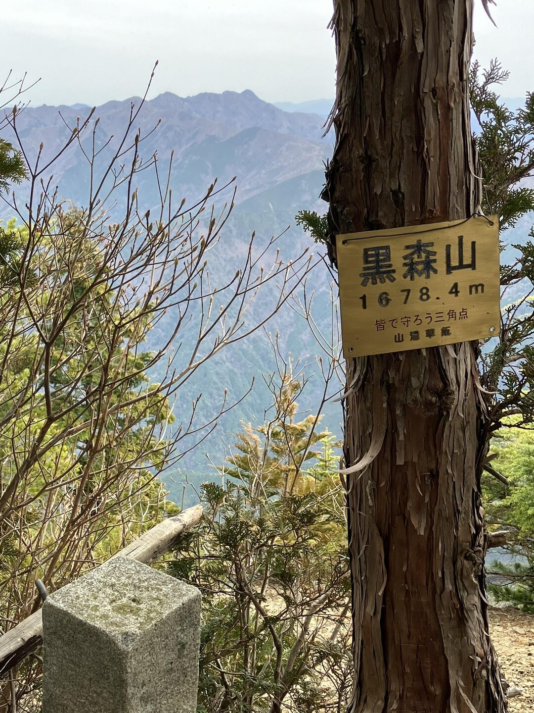 沓掛山・黒森山 🐇うさぎが！ / fusaさんの笹ヶ峰・寒風山・平家平の活動データ | YAMAP / ヤマップ