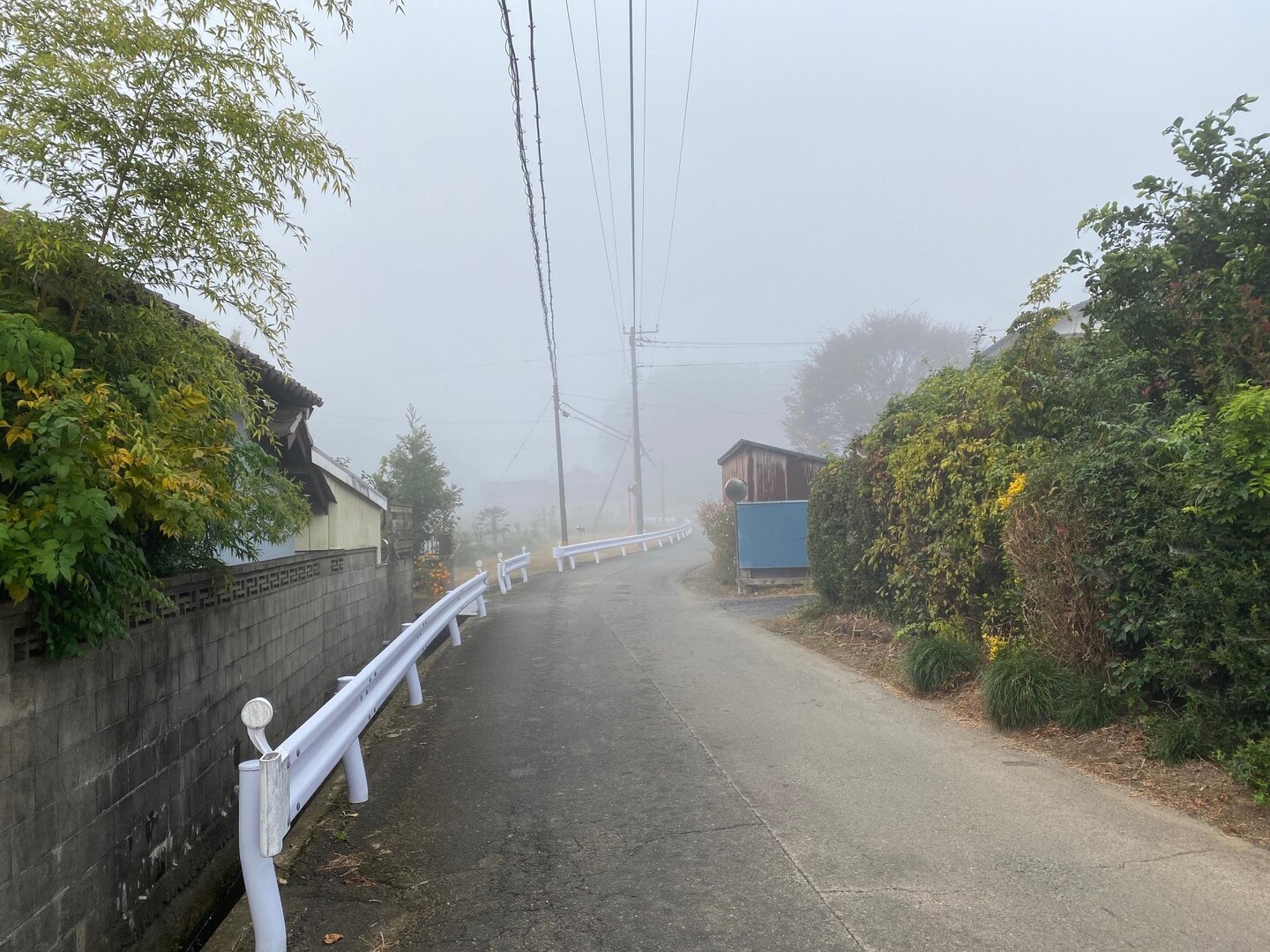 霧🌁霧🌁霧 ️🐰 / Bull&Umiさんのモーメント | YAMAP / ヤマップ