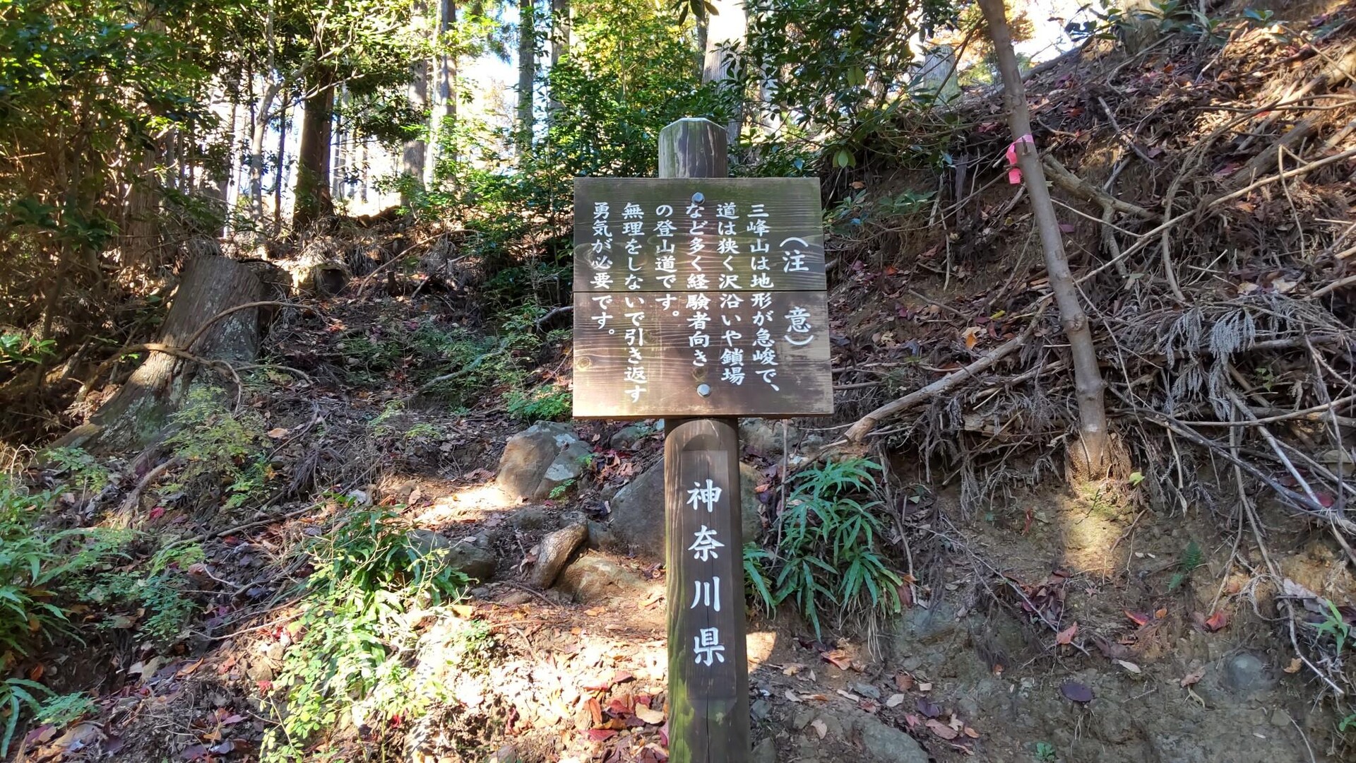 大山三峰山・七沢山(東丹沢) / SGさんの大山の活動データ | YAMAP / ヤマップ