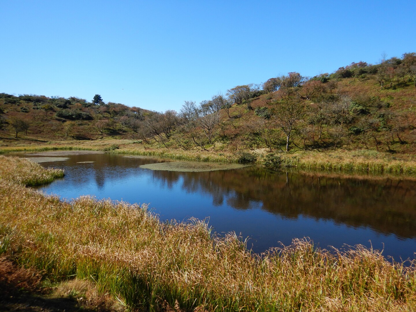 権現山・ホッケ山・蓬莱山 / kol-hiraさんの比良山地・武奈ヶ岳・釈迦岳の活動データ | YAMAP / ヤマップ