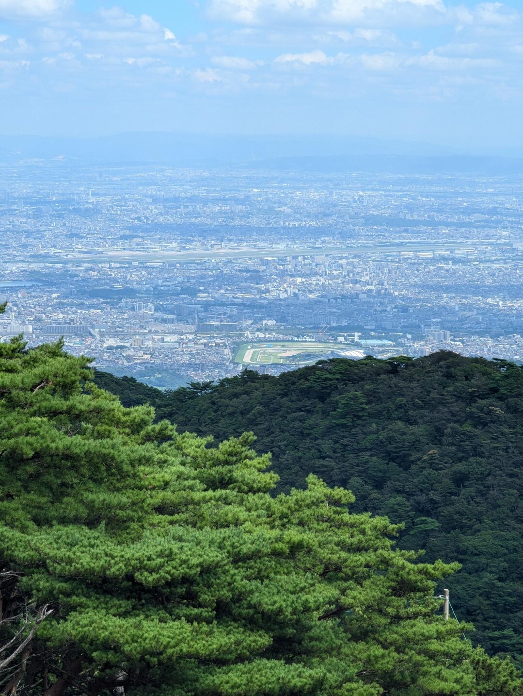 夏のロックガーデン / k3さんの六甲山・長峰山・摩耶山の活動データ | YAMAP / ヤマップ