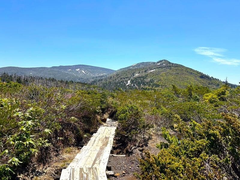 前山・杉ヶ峰・屏風岳 / tatsuyaさんの蔵王山・雁戸山・不忘山の活動データ | YAMAP / ヤマップ