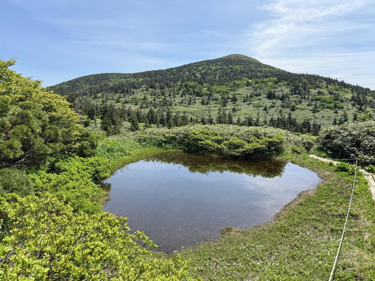 行けました〜八甲田山‼️ / shinさんの八甲田山・高田大岳・雛岳の活動データ | YAMAP / ヤマップ