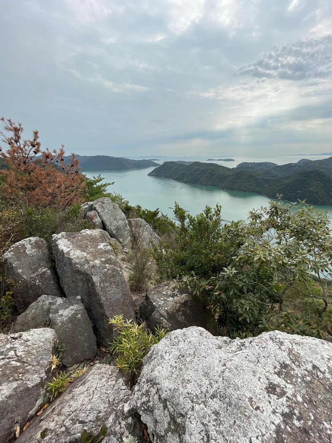 夕立受山 / mayさんの夕立受山の活動データ | YAMAP / ヤマップ