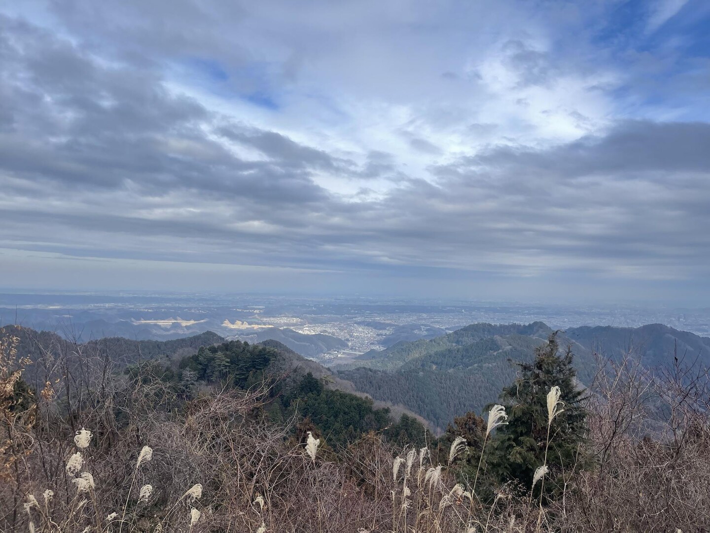 南高尾~陣馬山 / Thrillerさんの高尾山・陣馬山・景信山の活動データ | YAMAP / ヤマップ
