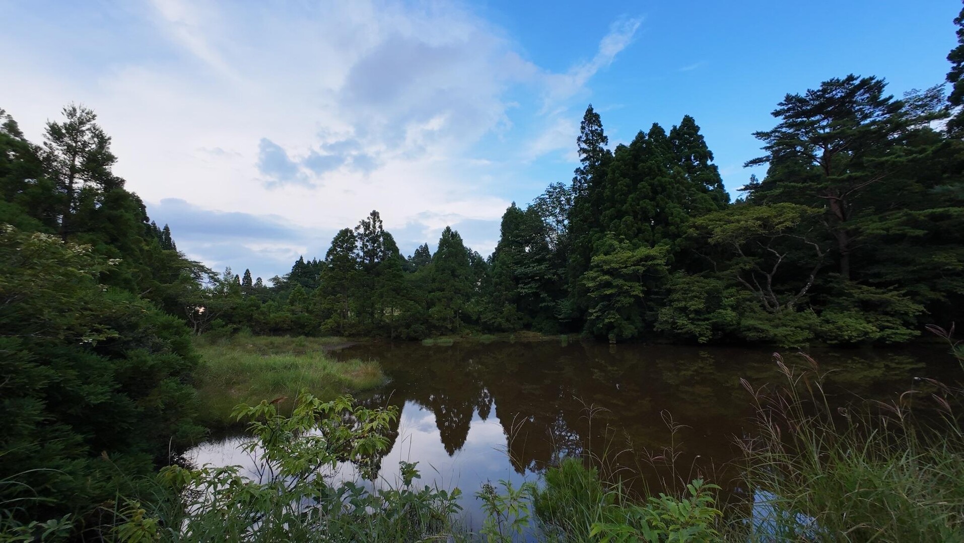 前山 / gucciさんの比良山地・武奈ヶ岳・釈迦岳の活動データ | YAMAP / ヤマップ
