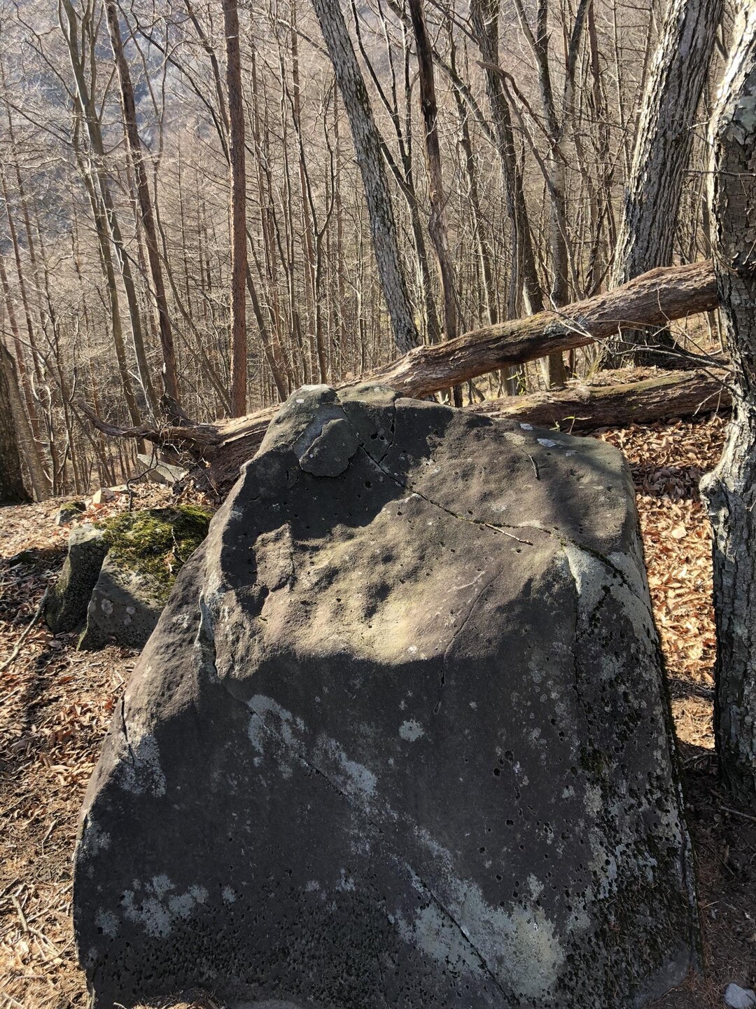 菅峰 / necomaru Xさんの浅間隠山・駒髪山・丸岩の活動データ | YAMAP / ヤマップ