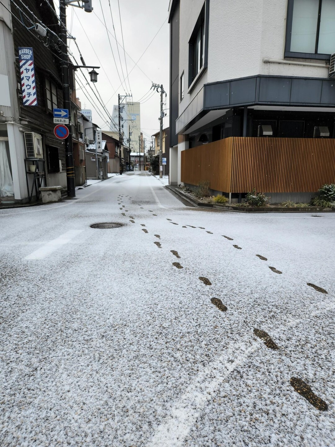 蛙探しの旅🐸徳生山 / obamaさんの小谷山・徳生山・経塚山の活動データ | YAMAP / ヤマップ