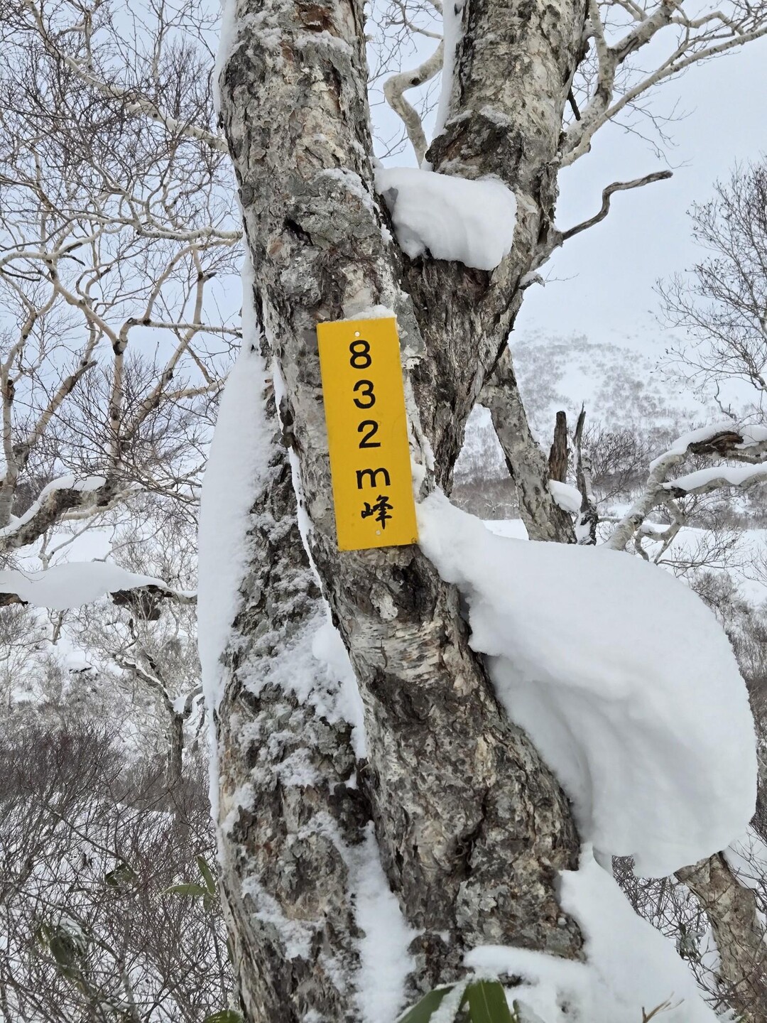 832m峰 / korinoieさんのニセコアンヌプリ・イワオヌプリ・チセヌプリの活動データ | YAMAP / ヤマップ