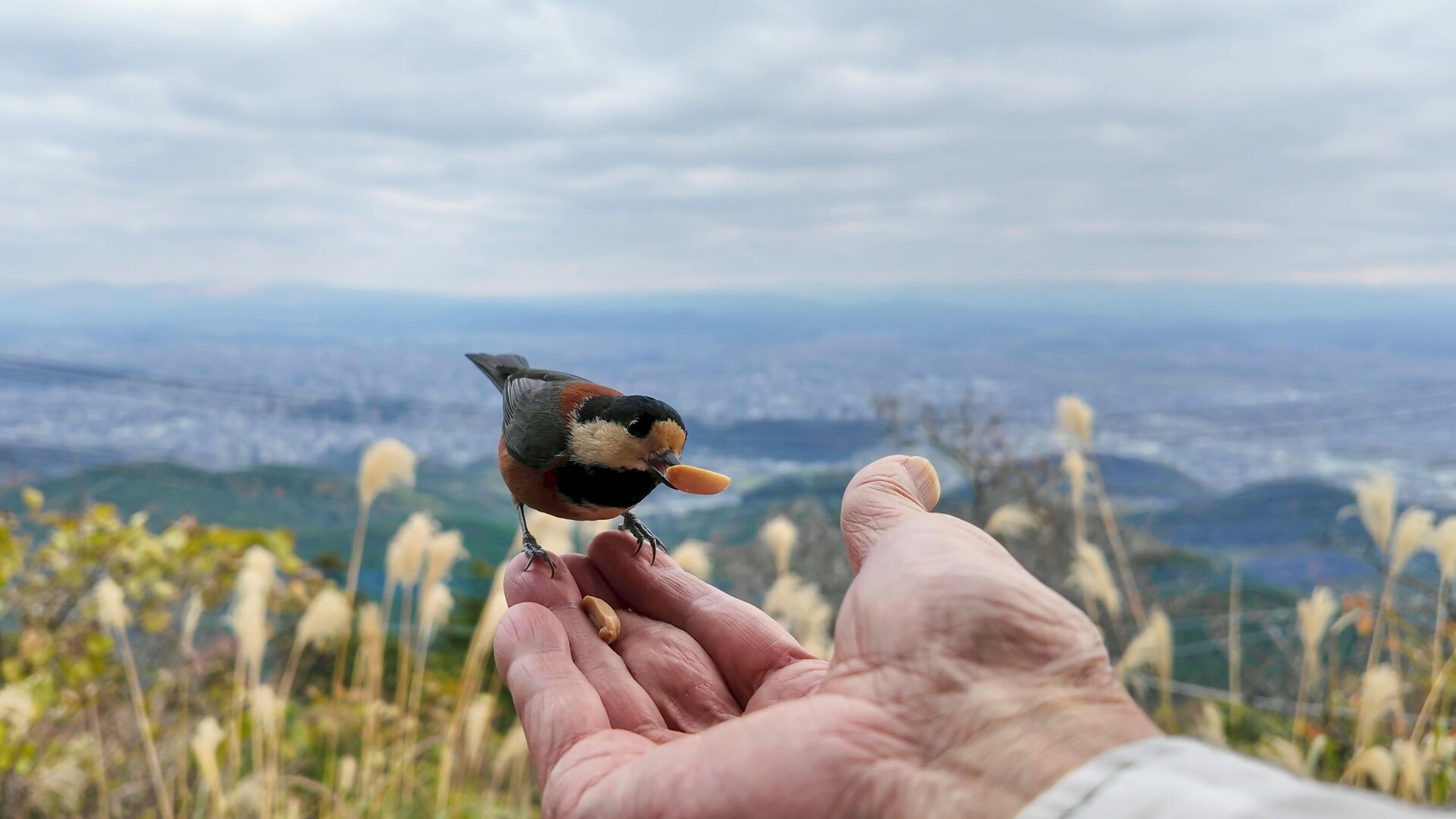 金峰山 / suejirouさんの金峰山・二ノ岳・三ノ岳の活動データ | YAMAP / ヤマップ