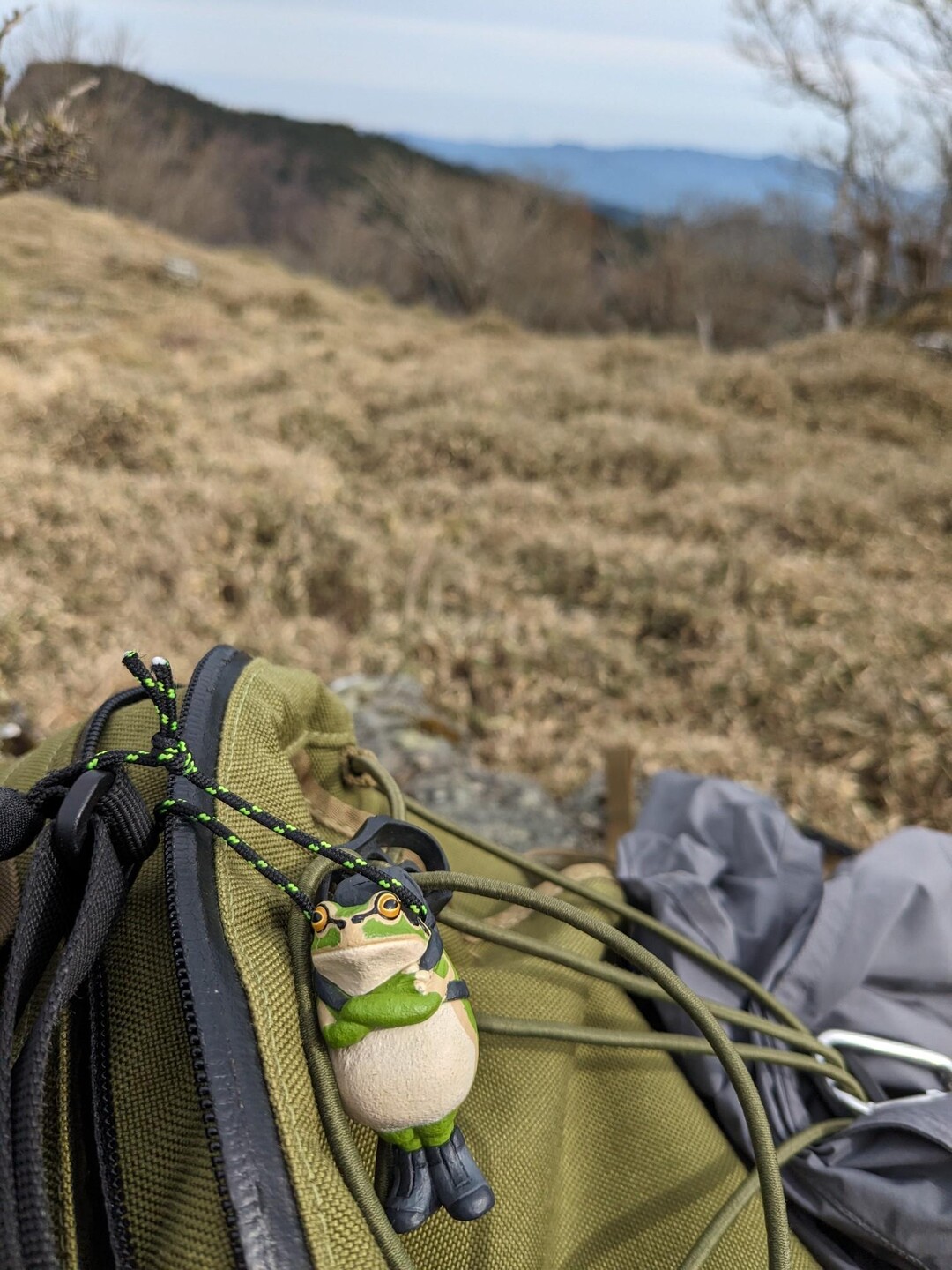 落禿 / h3さんの矢筈山・黒笠山の活動データ | YAMAP / ヤマップ