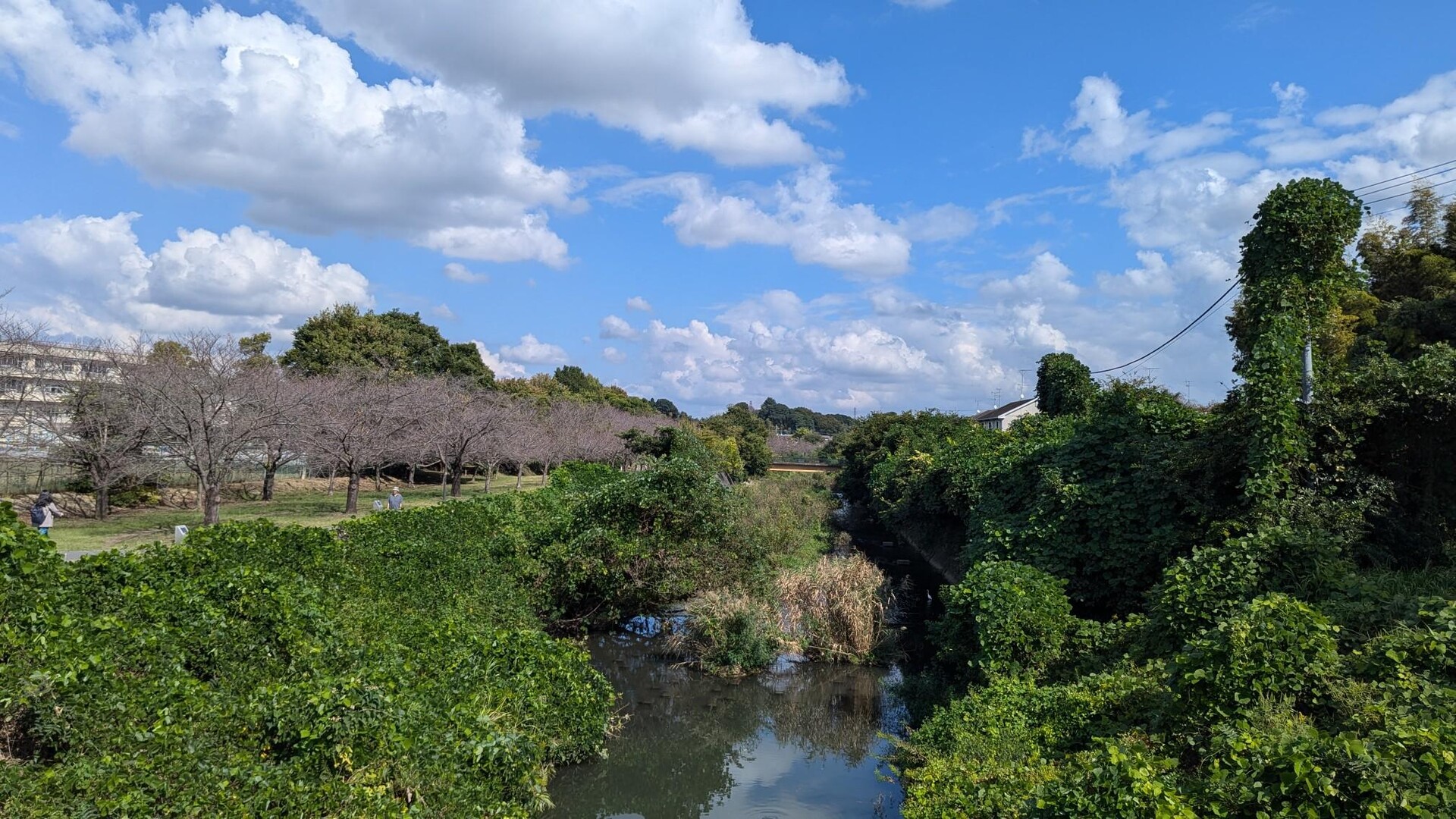 手賀沼ランニング-2024-10-14 / TK54さんのランニングの活動データ | YAMAP / ヤマップ