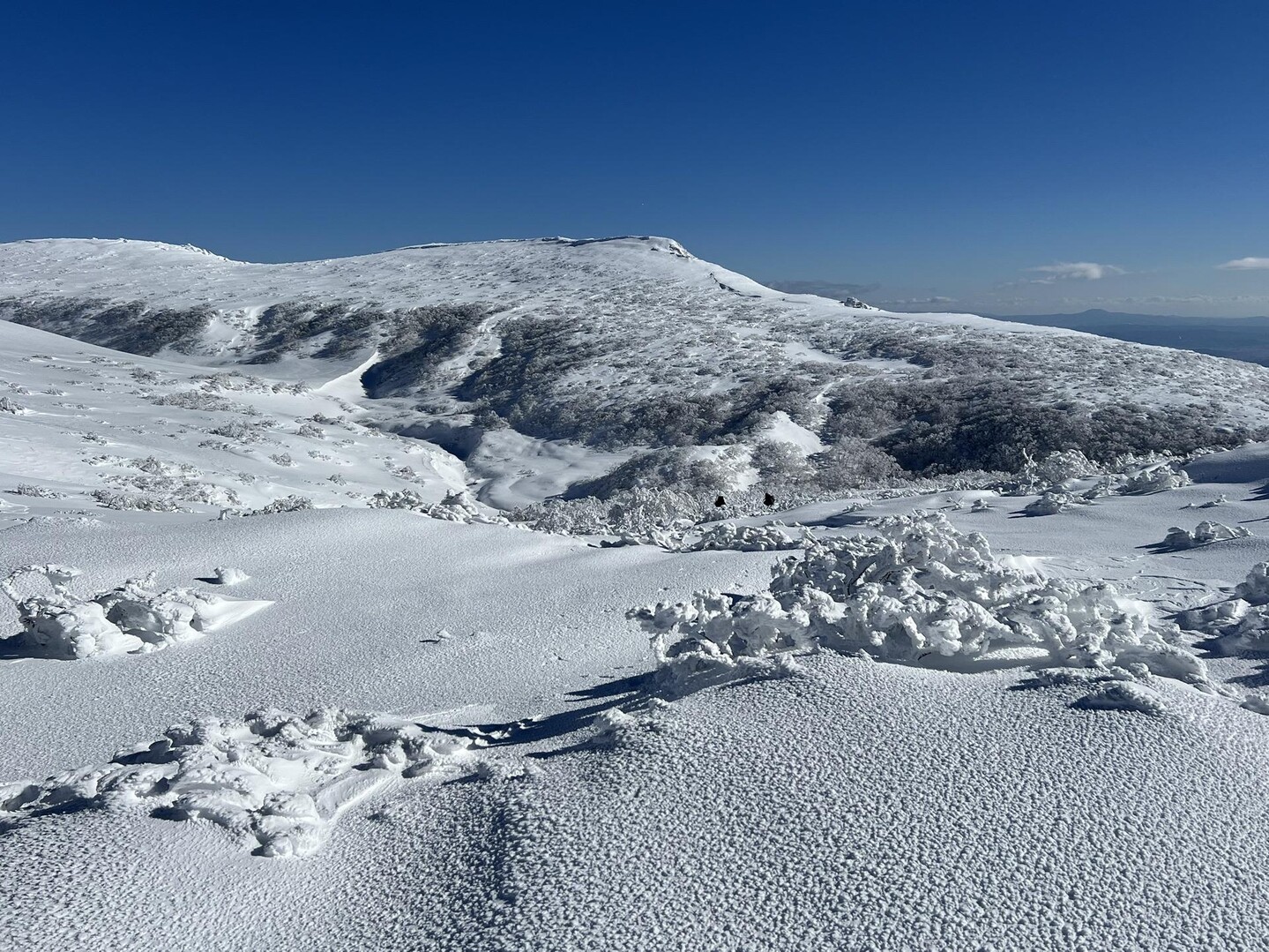 栗駒山 ️ / Yoko.Robby902さんの栗駒山（須川岳）・秣岳・虚空蔵山の活動データ | YAMAP / ヤマップ
