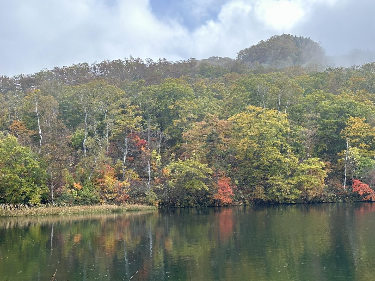 志賀高原・旭山 / e_kuneさんの焼額山の活動データ | YAMAP / ヤマップ