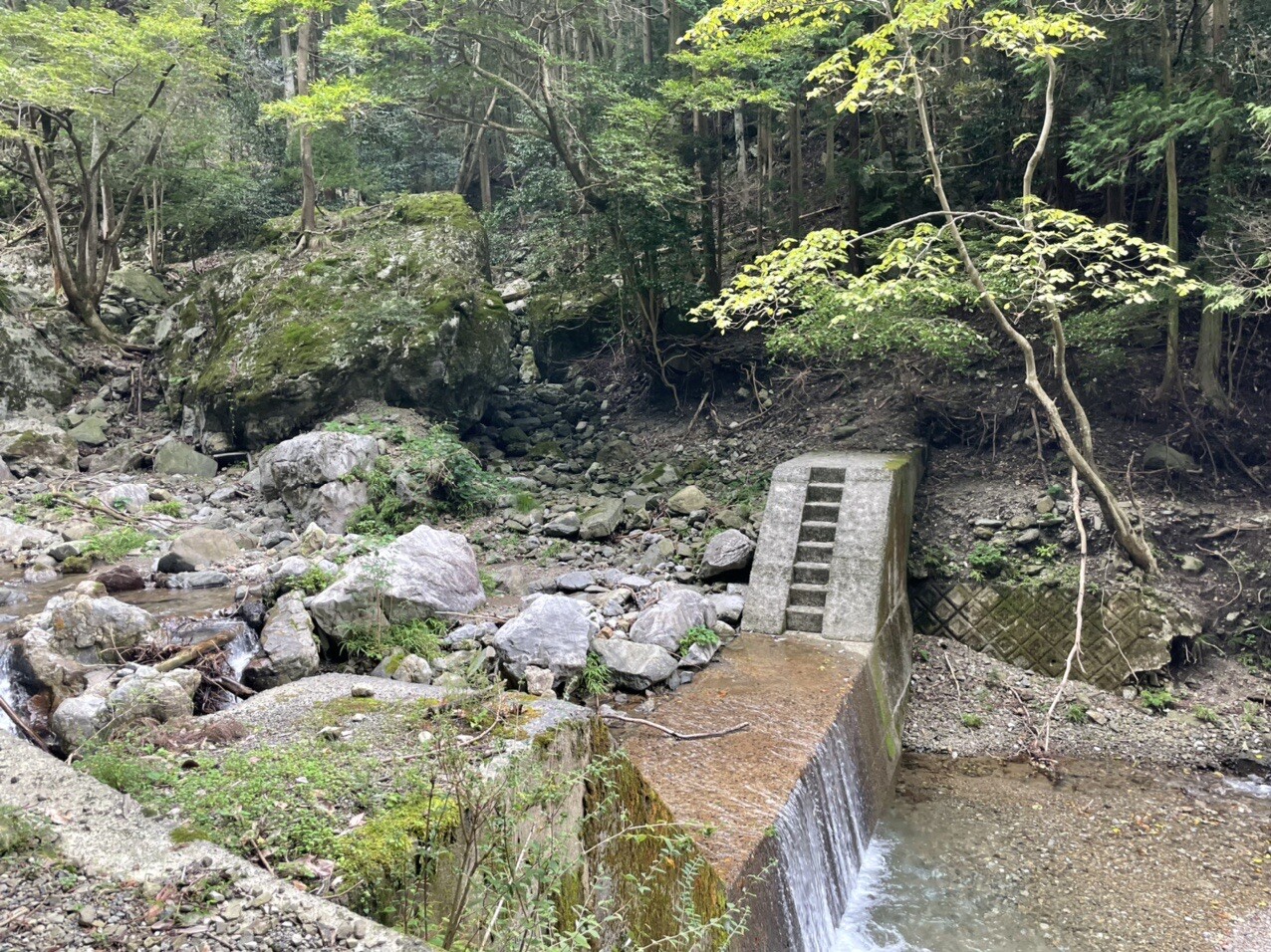 podoryさんの投稿したフィールドメモ | YAMAP / ヤマップ
