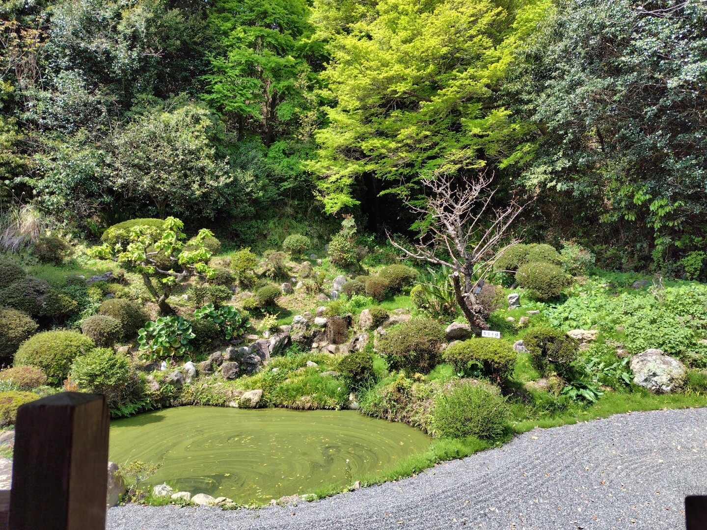 秋葉山 / ykさんの高山・欅立山・梶原山の活動データ | YAMAP / ヤマップ