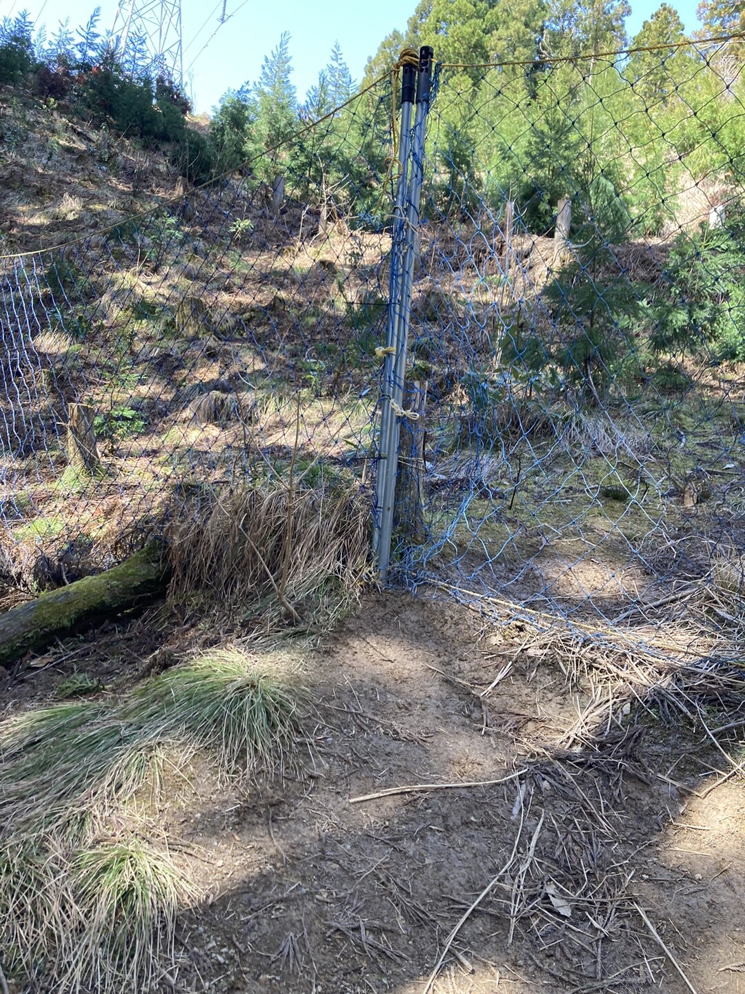 S.Sanさんの投稿したフィールドメモ | YAMAP / ヤマップ