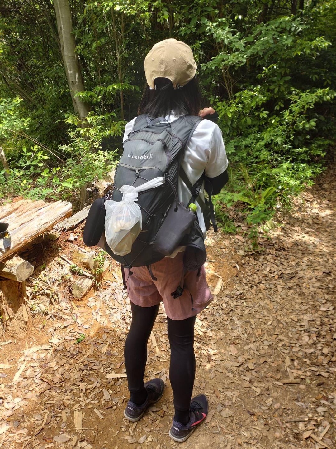 約半年ぶりの東鳳翩山 / Kei707さんの東鳳翩山・西鳳翩山・鴻ノ峰の活動データ | YAMAP / ヤマップ