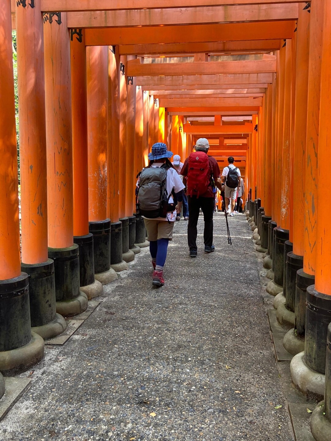 京都トレイル 東山コース / ke-kunさんの京都一周トレイルの活動データ | YAMAP / ヤマップ