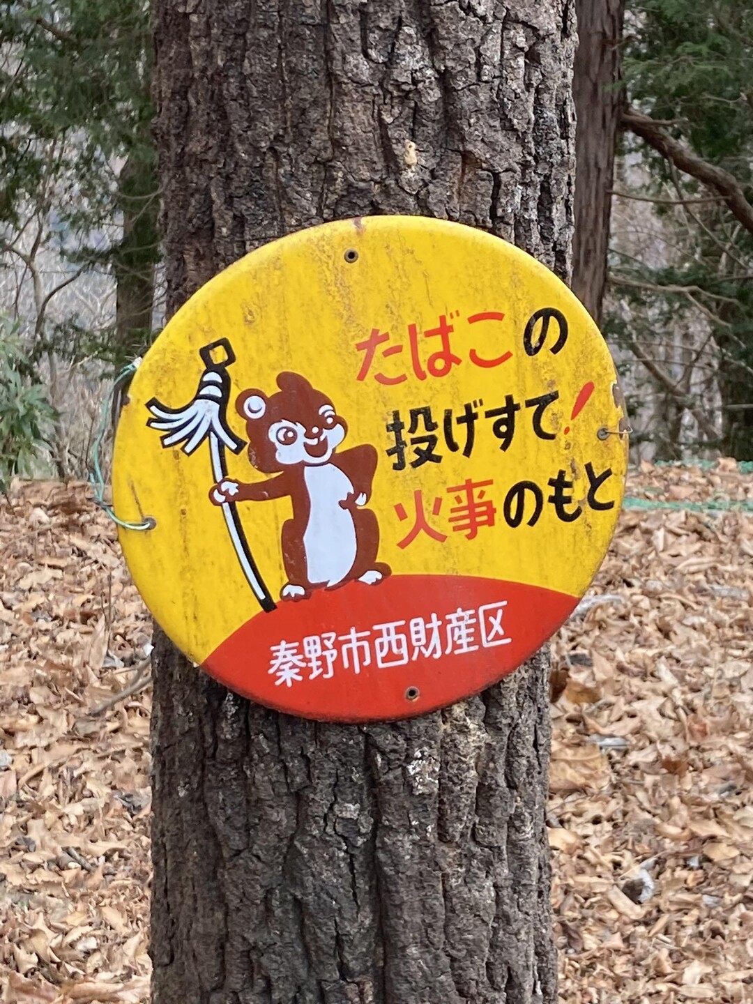 今日のリスと鳥…と、カンガルー？ / ayayoさんのモーメント | YAMAP / ヤマップ