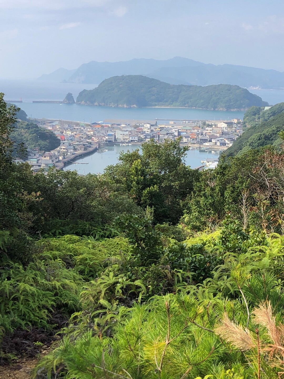 宿 浅間山 181.7m (低山巡り) 南伊勢町 / isisさんの南伊勢町の活動データ | YAMAP / ヤマップ