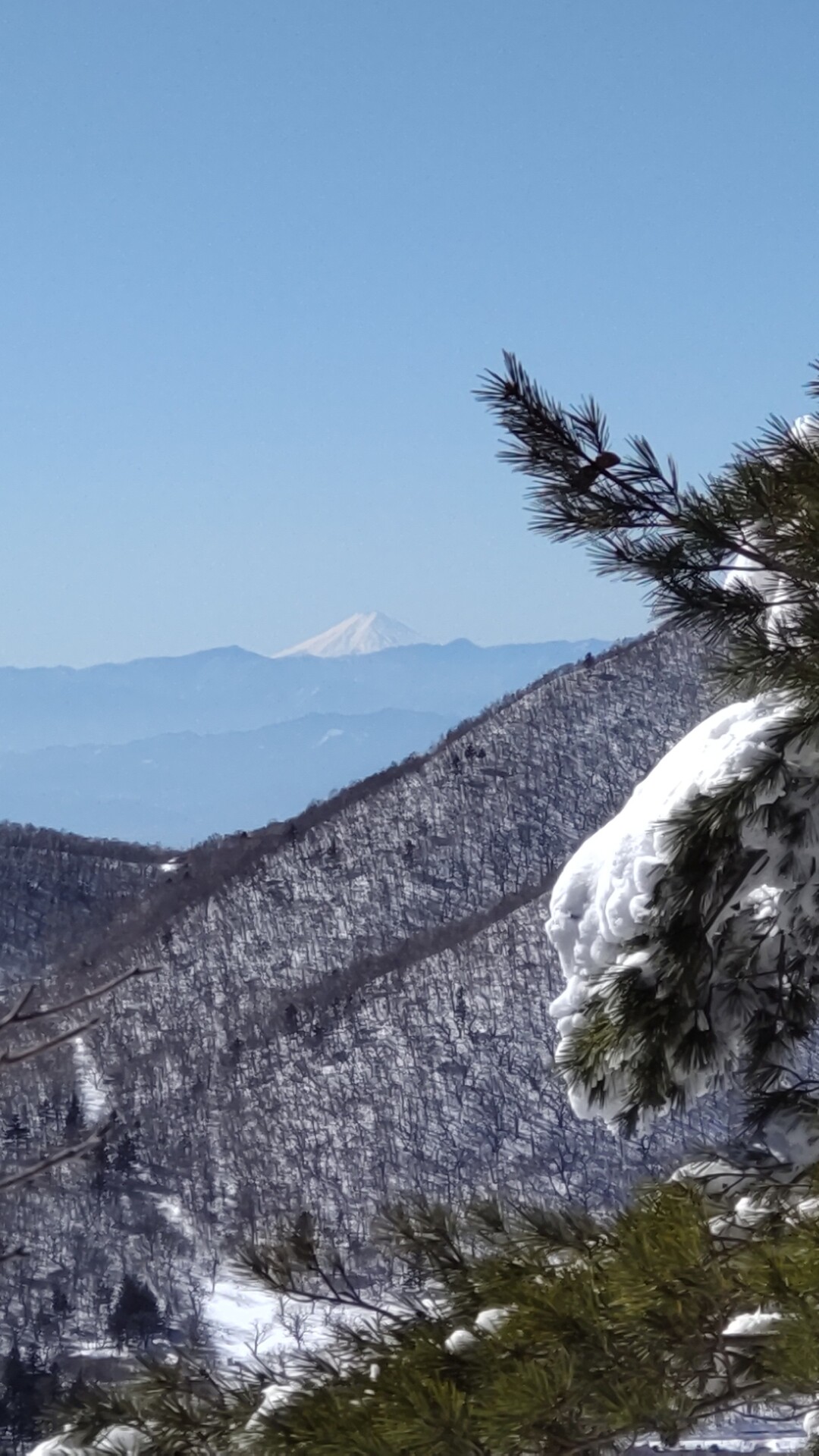 黒檜山・駒ヶ岳 / makokazuさんの赤城山・黒檜山・荒山の活動データ | YAMAP / ヤマップ