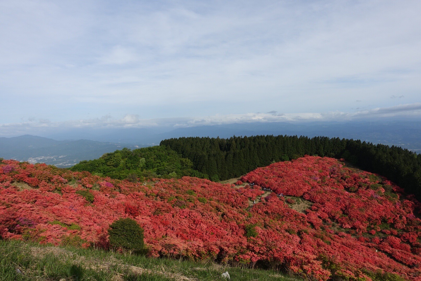 大和葛城山👫 / Yuka-pi 𖤣𖥧𖥣𖡡𖥧𖤣さんの金剛山・二上山・大和葛城山の活動日記 | YAMAP / ヤマップ