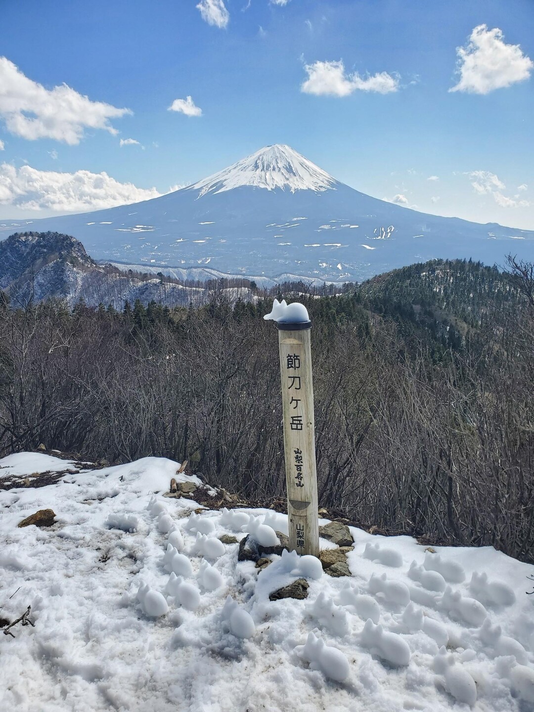 大石峰山・金堀山・沢妻ノ頭・節刀ヶ岳 / nabe(^o^)vさんの節刀ヶ岳・破風山・足和田山の活動データ | YAMAP / ヤマップ