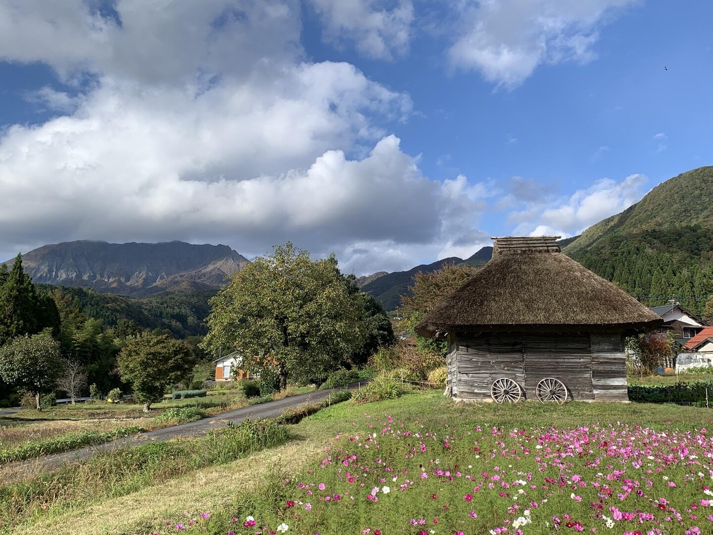 大山エリア大休峠 / ktakuさんの大山・甲ヶ山・野田ヶ山の活動データ | YAMAP / ヤマップ
