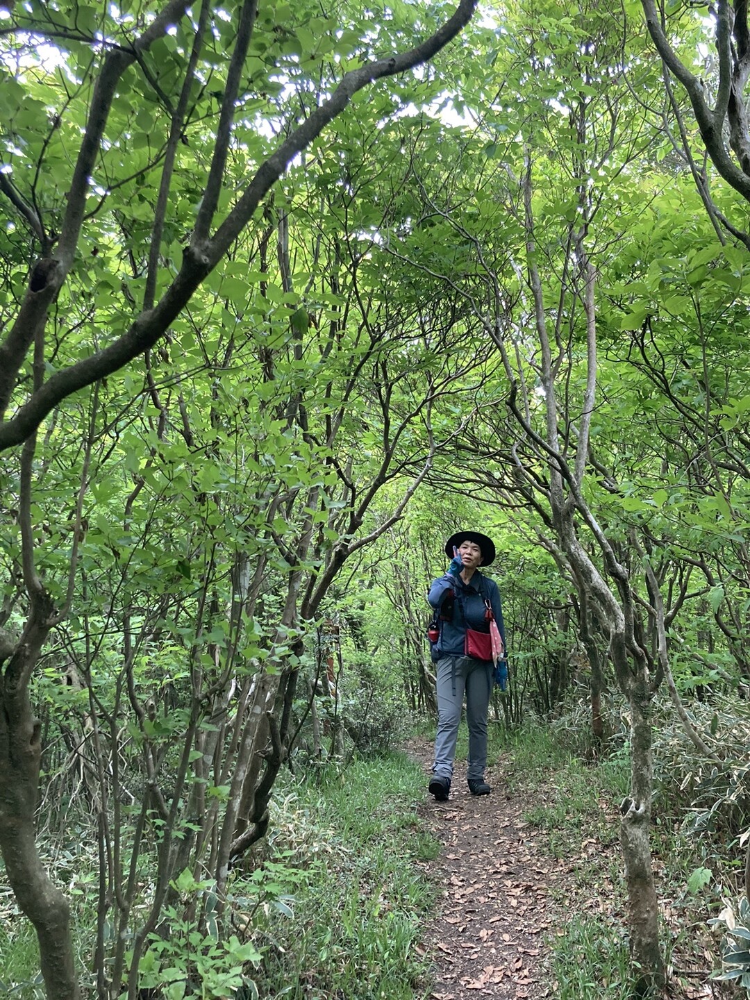 猟師岩山・金山 / hiyoさんの脊振山・金山の活動データ | YAMAP / ヤマップ