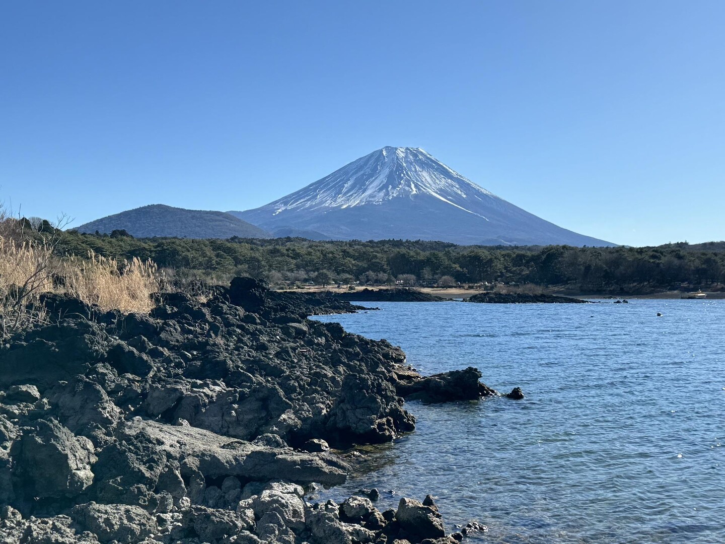 ぐるり富士山トレイルDAY4 / キャティーさんの毛無山・雨ヶ岳・竜ヶ岳の活動データ | YAMAP / ヤマップ