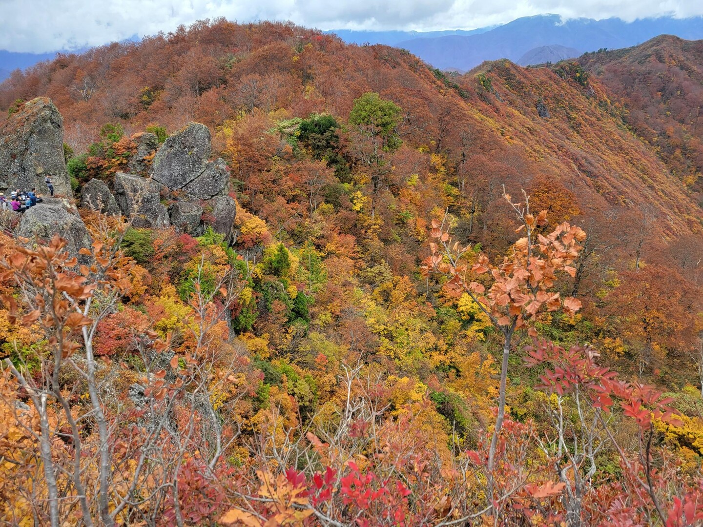 金城山 / minaさんの巻機山・割引岳・金城山の活動データ | YAMAP / ヤマップ