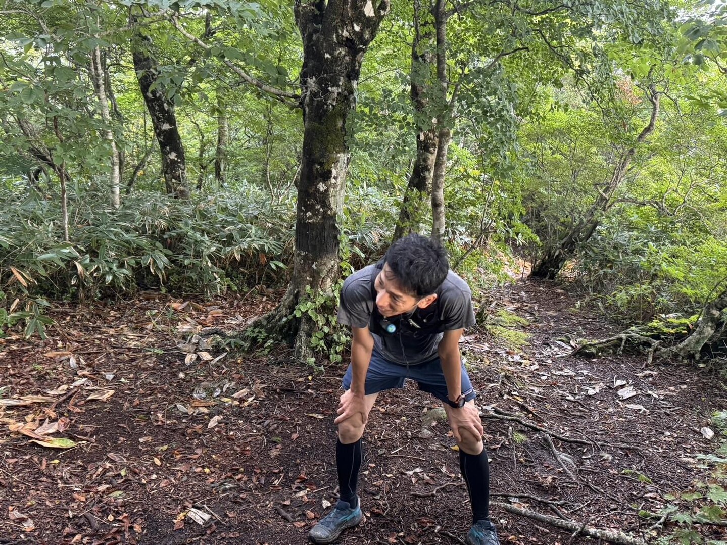 トレラン12k試走 / toshiさんの船形山（御所山）・泉ヶ岳・蛇ヶ岳の活動データ | YAMAP / ヤマップ