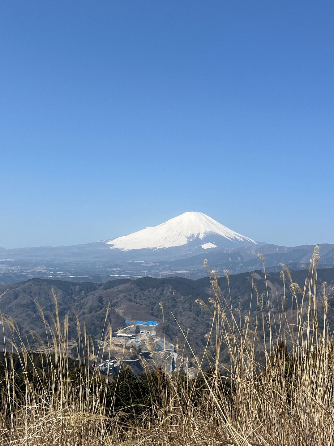 大野山 / yasさんの高松山・大野山の活動データ | YAMAP / ヤマップ