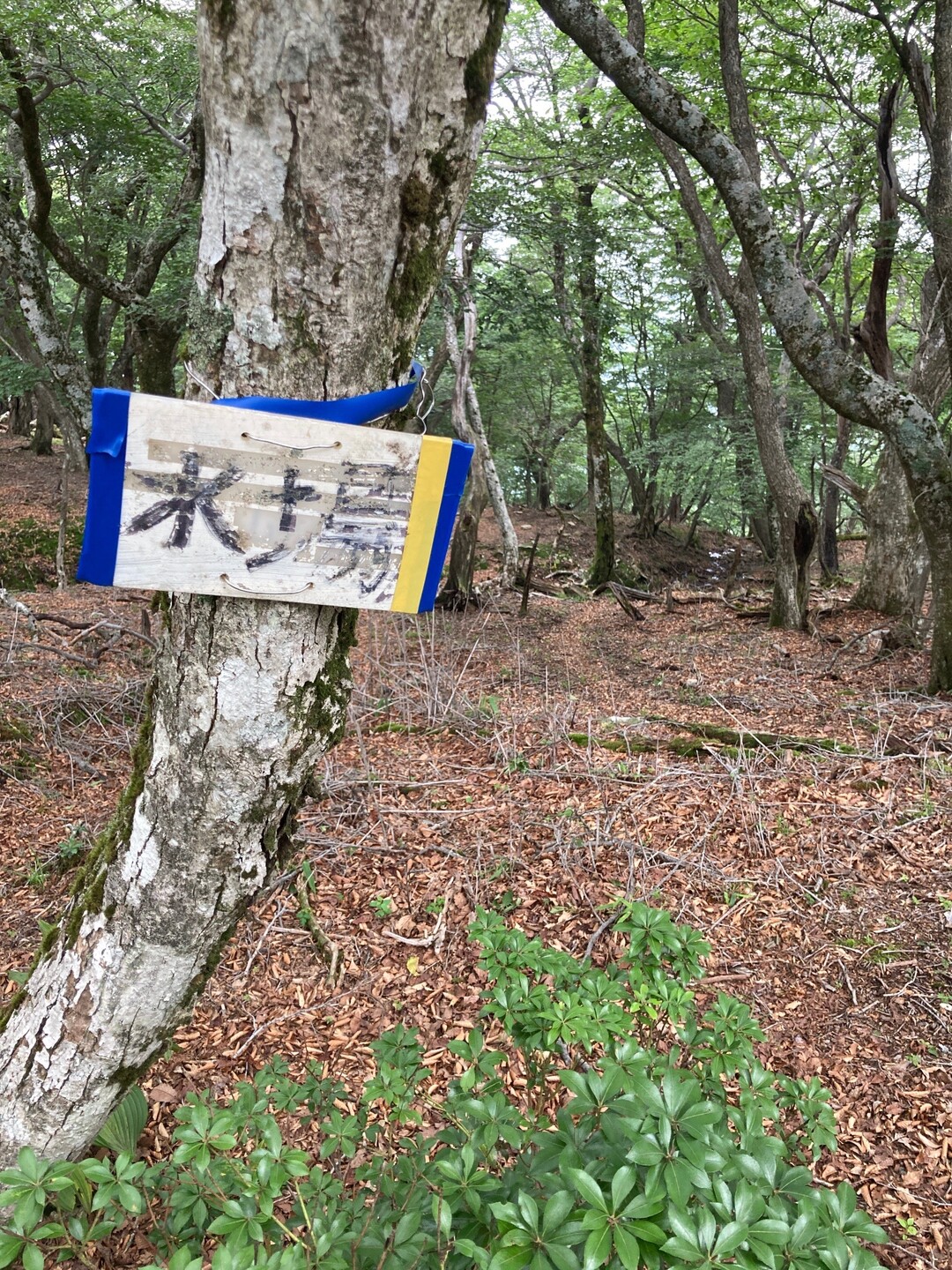 Toshio さんの投稿したフィールドメモ | YAMAP / ヤマップ