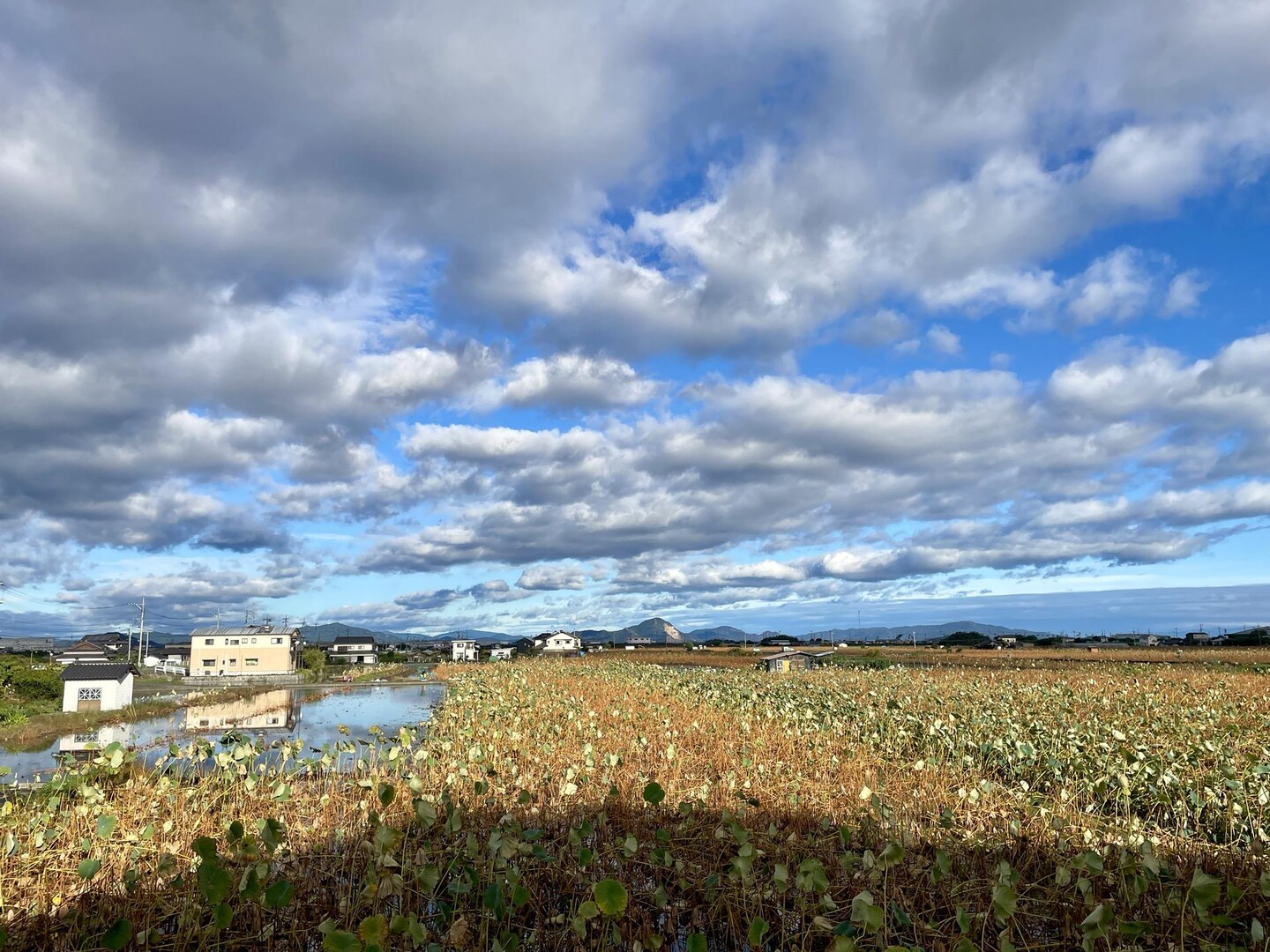 大雨の後、晴れた☀️ 空気が綺麗🤩暑い... / GONKEさんのモーメント | YAMAP / ヤマップ