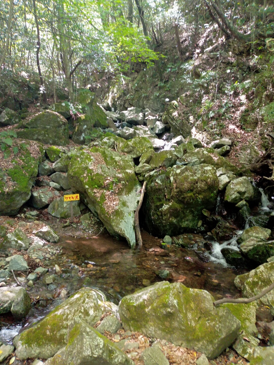 Osa-n43さんの投稿したフィールドメモ | YAMAP / ヤマップ