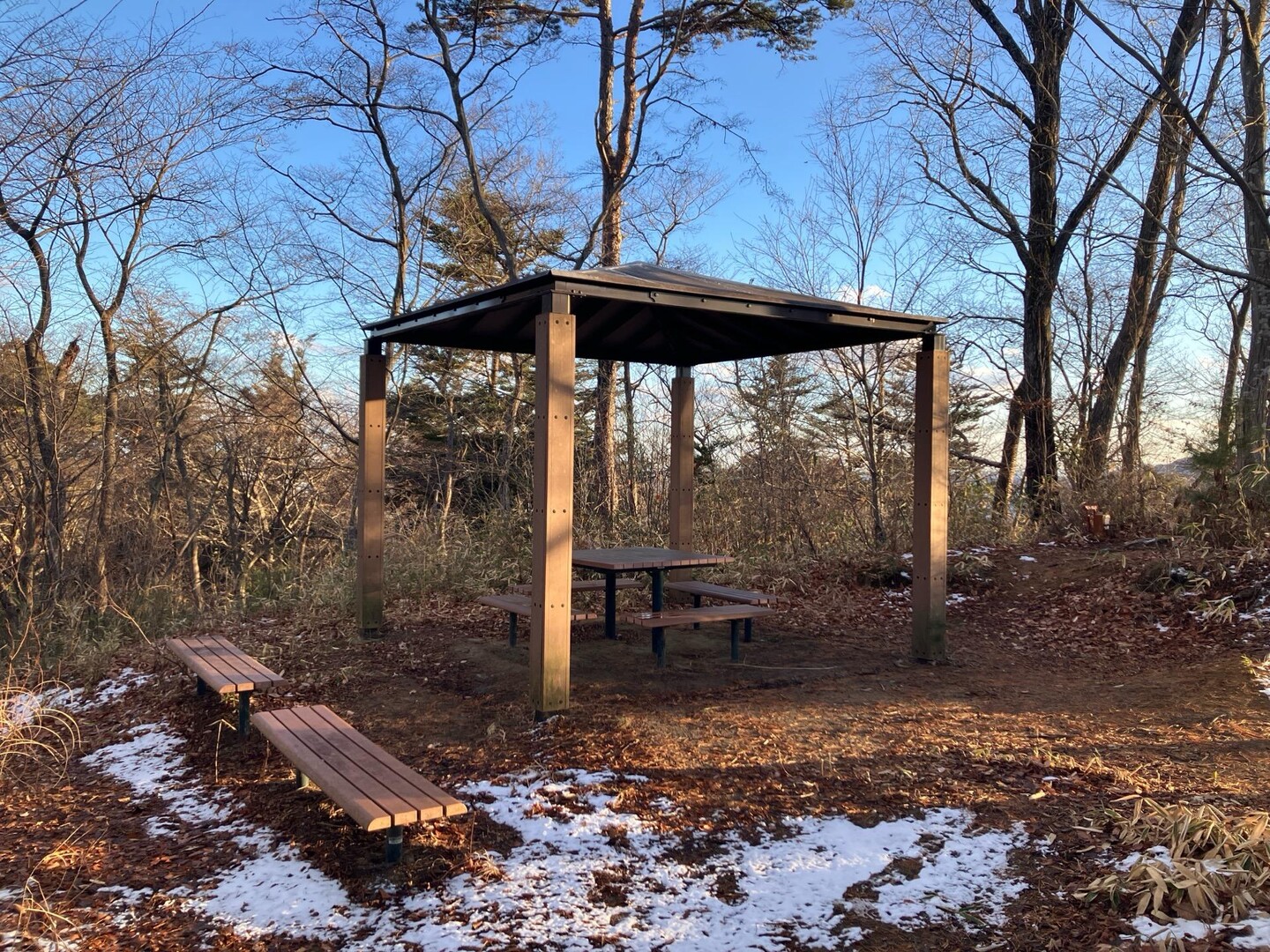 恐竜山 / NAさんの太白山・萱ヶ崎山・蕃山の活動データ | YAMAP / ヤマップ