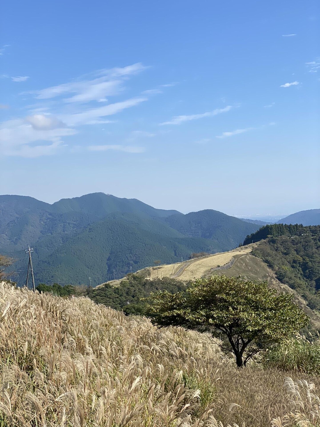 高松山・大野山-2022-10-23 / iwas@kiさんの高松山・大野山の活動データ | YAMAP / ヤマップ
