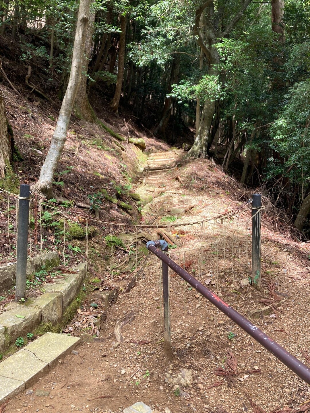 kaz330さんの投稿したフィールドメモ | YAMAP / ヤマップ