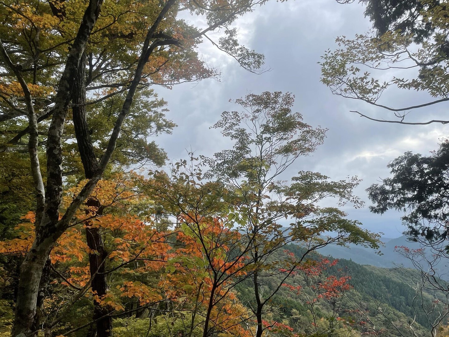 完走したい、ダイトレ大会にむけて / yossyさんの金剛山・二上山・大和葛城山の活動データ | YAMAP / ヤマップ