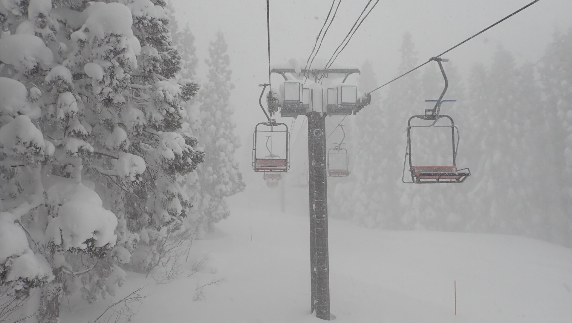 森吉山阿仁スキー場-2023-01-05 / WA1号さんの森吉山の活動データ | YAMAP / ヤマップ