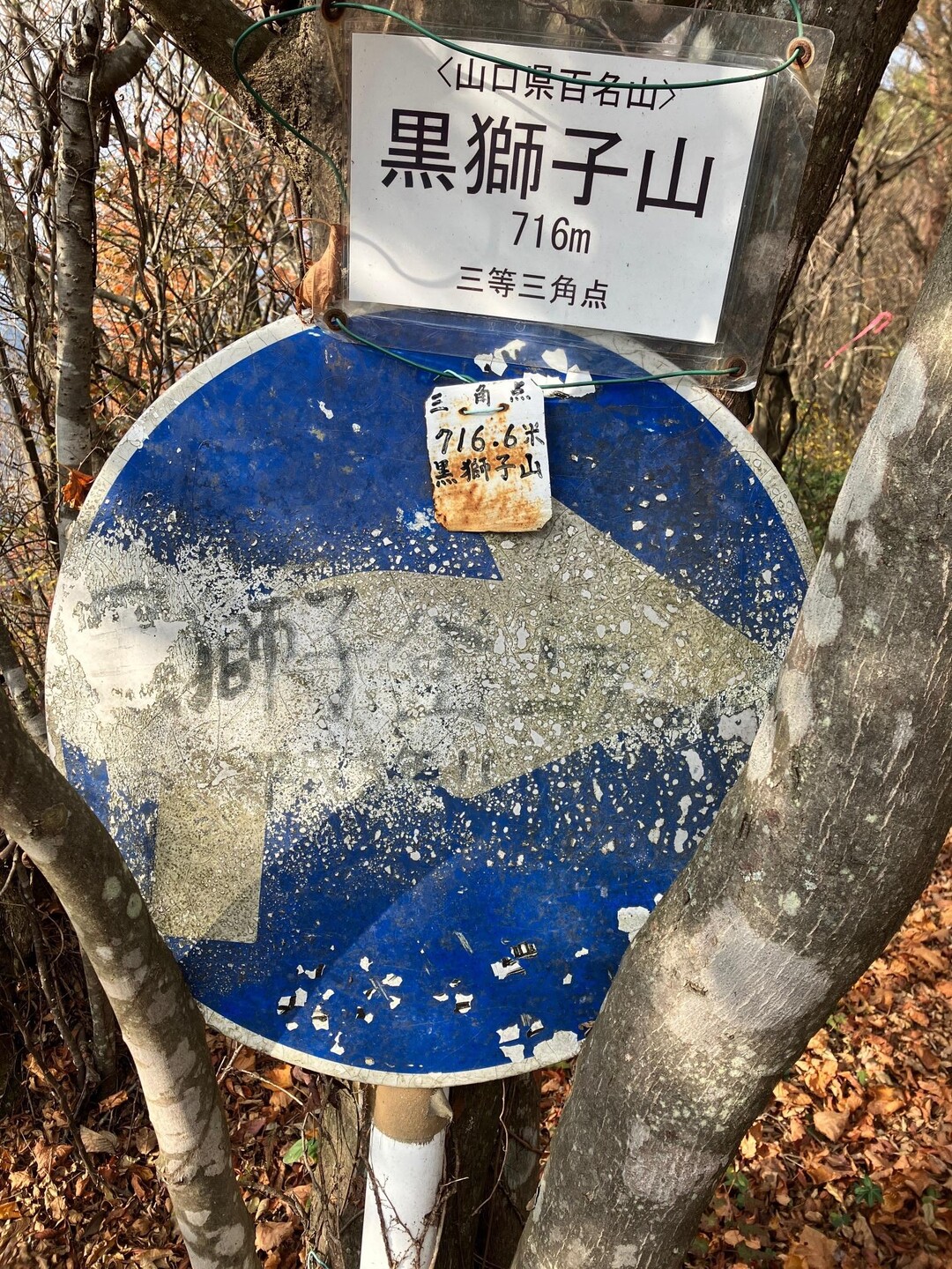 20221112黒獅子山 / さかもっちゃんさんの黒獅子山の活動データ | YAMAP / ヤマップ