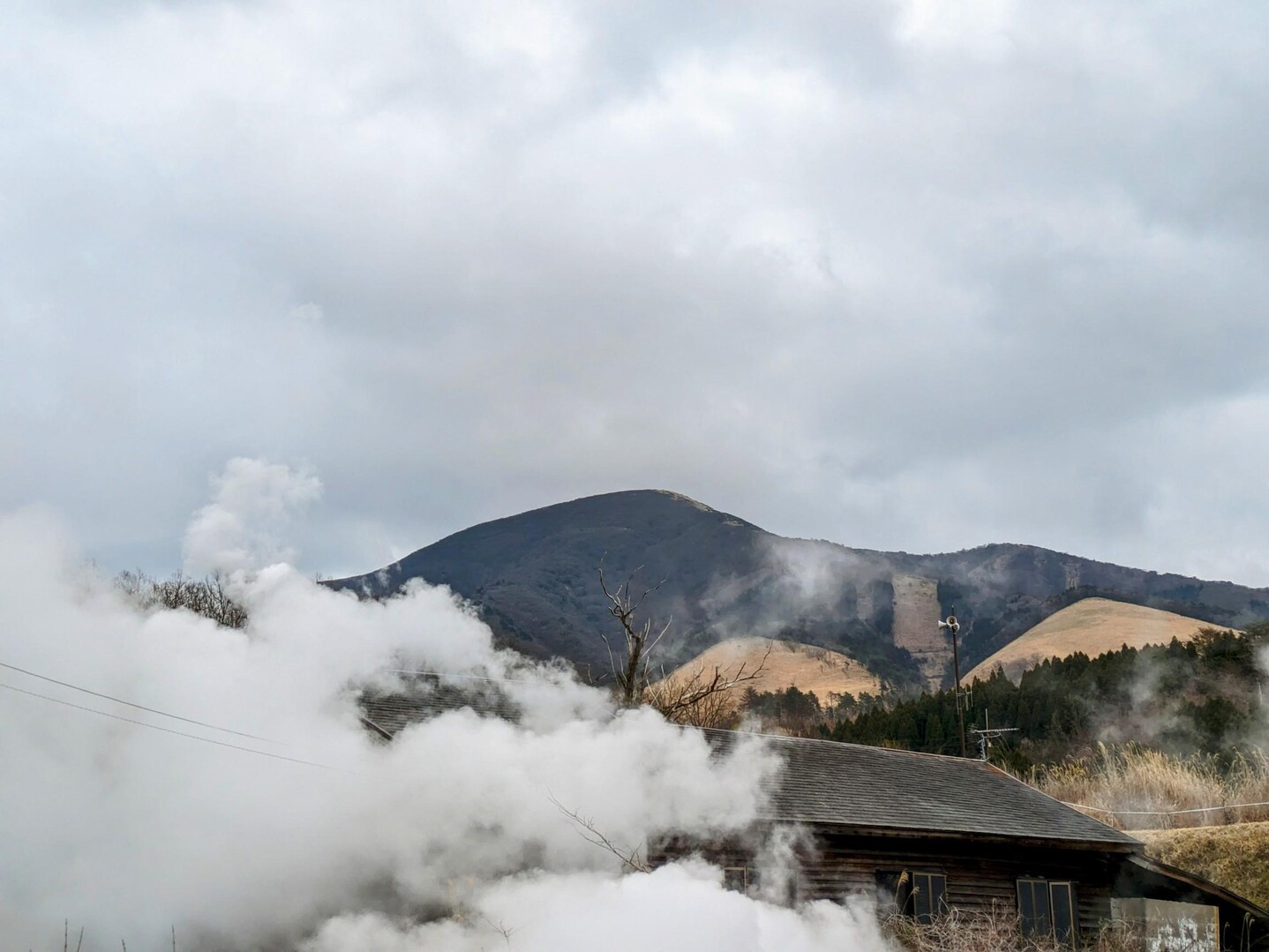 蒸気噴き出す麓😳 涌蓋山 / meru2209さんの涌蓋山・猟師山の活動データ | YAMAP / ヤマップ