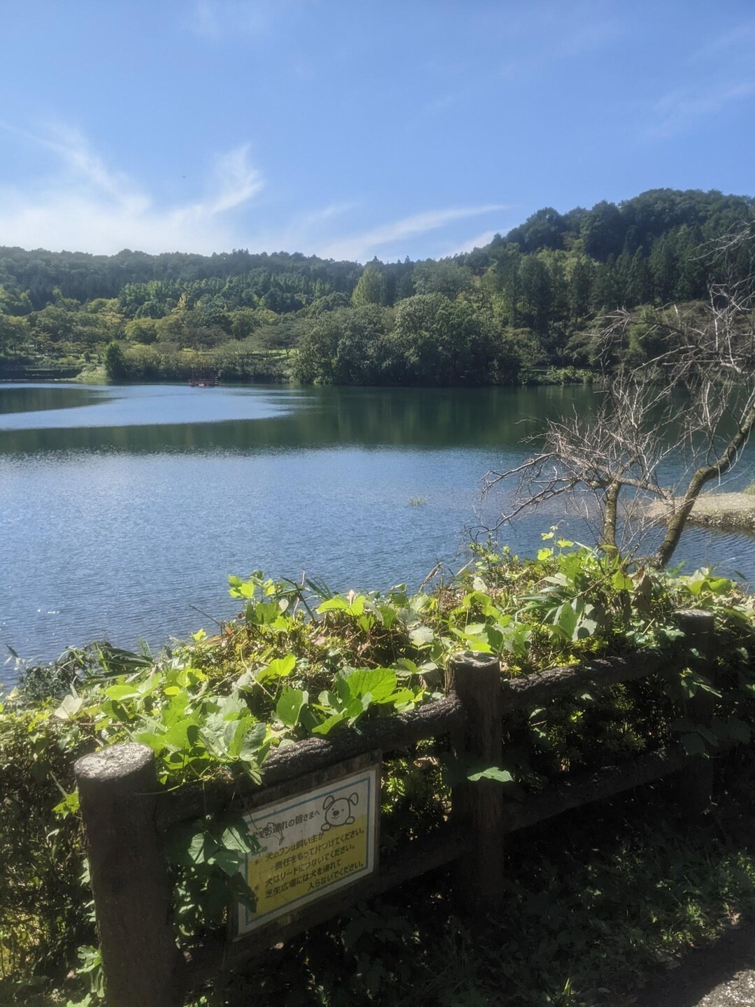 古賀志山ピストン(北コース) / nonnon99さんの古賀志山・赤岩山・鞍掛山・男抱山・半蔵山の活動データ | YAMAP / ヤマップ