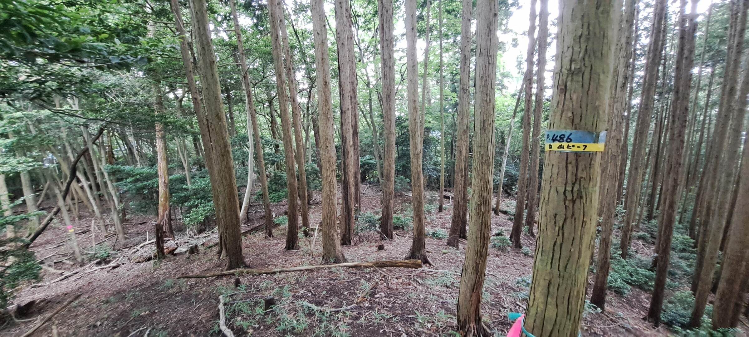 kame11さんの投稿したフィールドメモ | YAMAP / ヤマップ