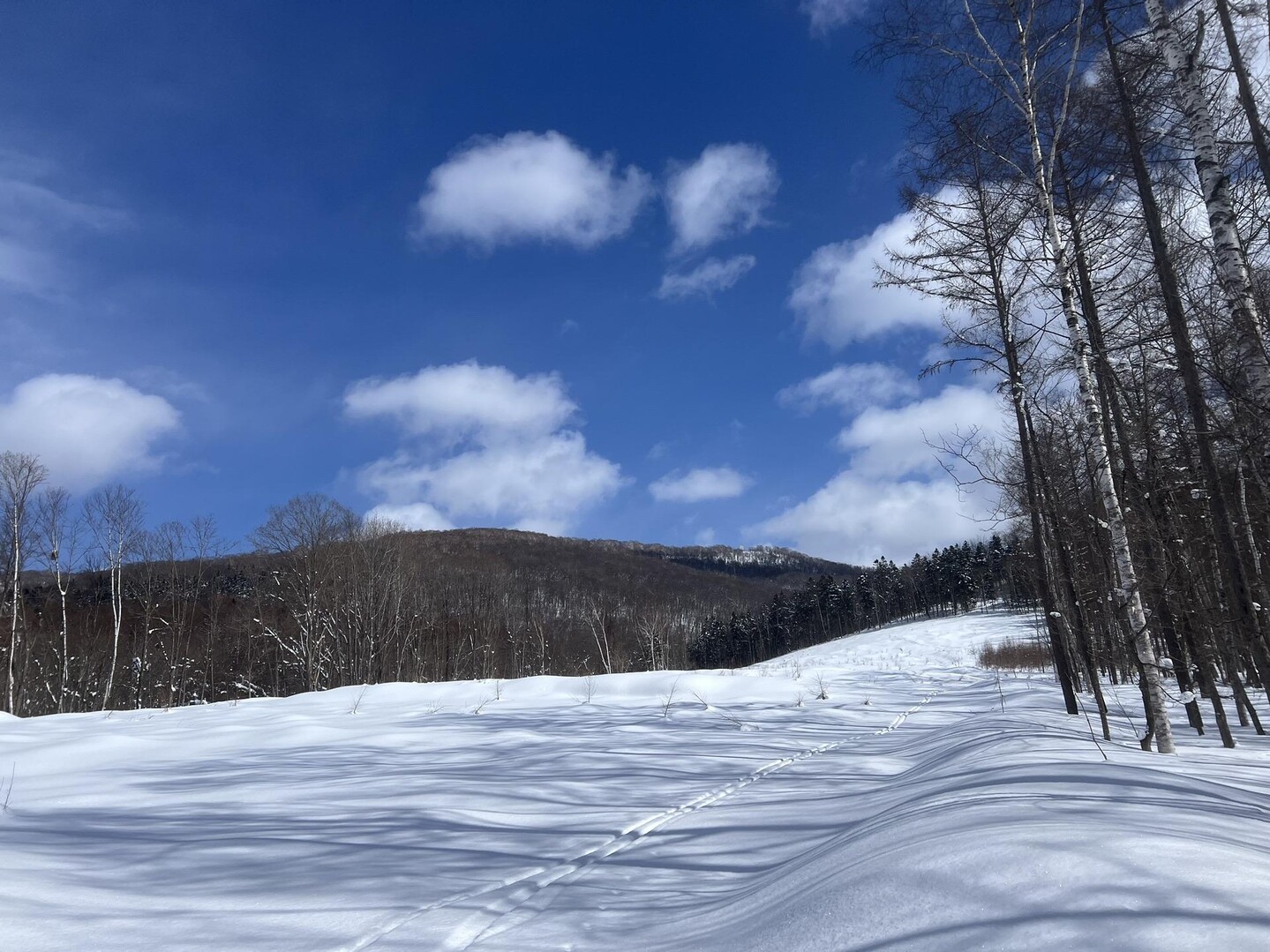 和寒山 / maya-mayaさんの和寒山の活動データ | YAMAP / ヤマップ